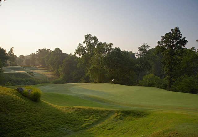 US Amateur Golf